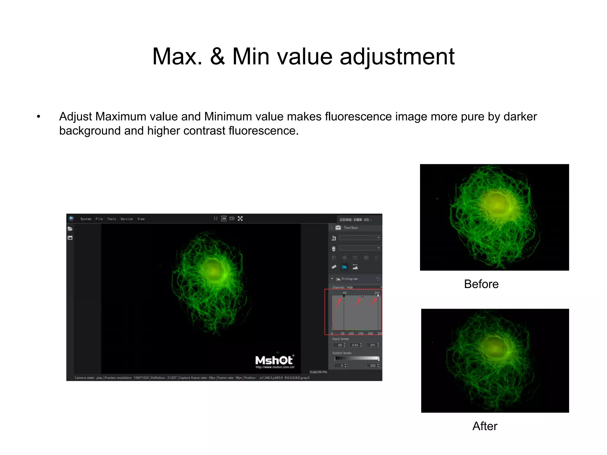 MSHOT fluorescence microscope imaging software | PDF