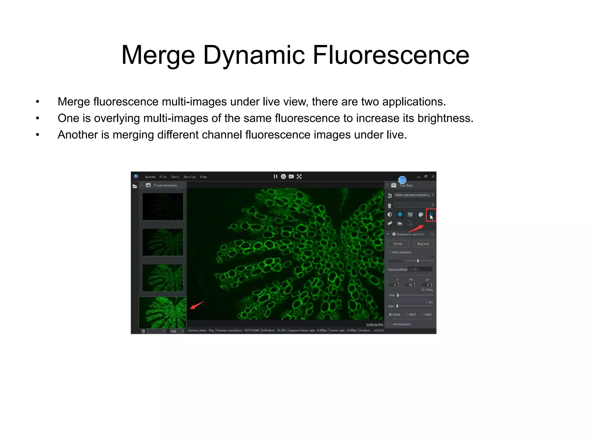 MSHOT fluorescence microscope imaging software | PPT