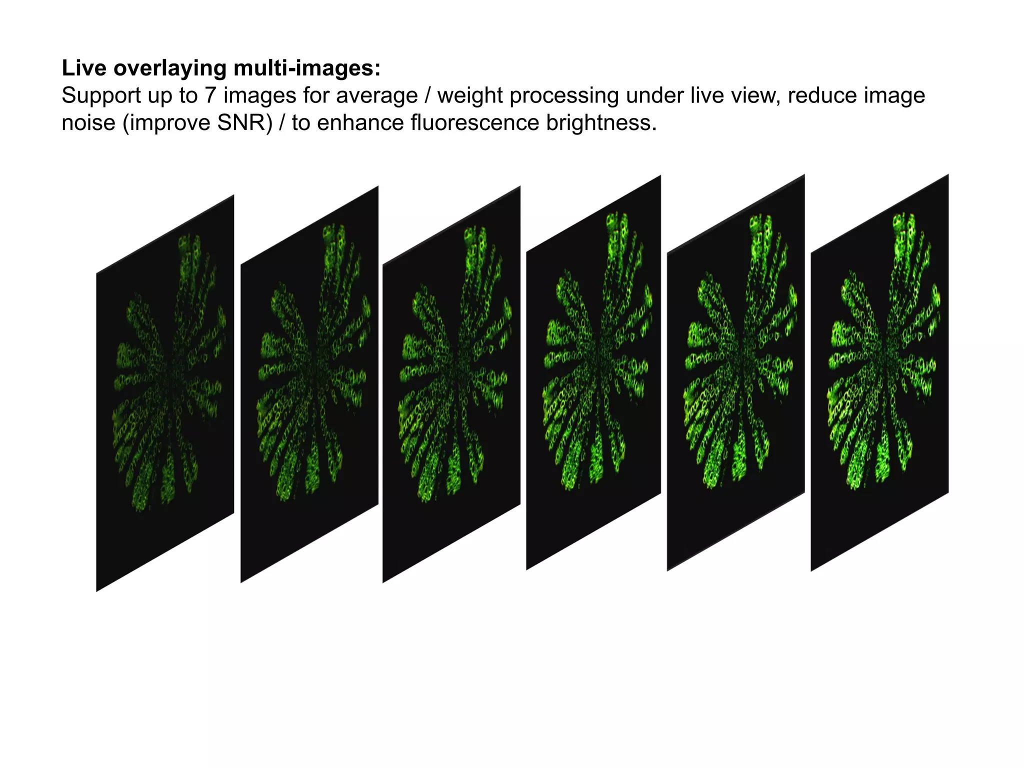 MSHOT fluorescence microscope imaging software | PPT