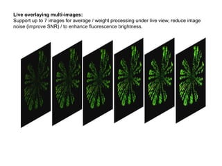 MSHOT fluorescence microscope imaging software | PPT