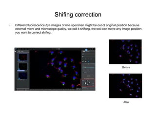 MSHOT fluorescence microscope imaging software | PPT