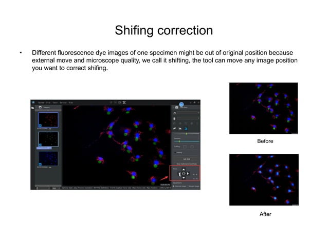 MSHOT fluorescence microscope imaging software | PDF