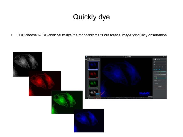 MSHOT fluorescence microscope imaging software | PPT
