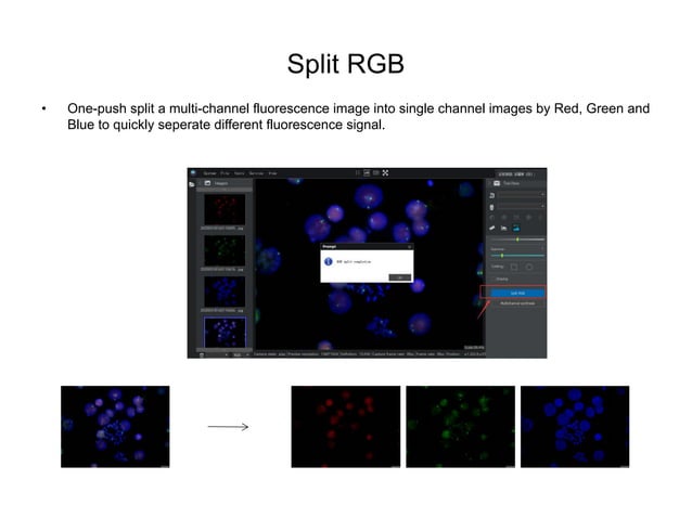 MSHOT fluorescence microscope imaging software | PDF