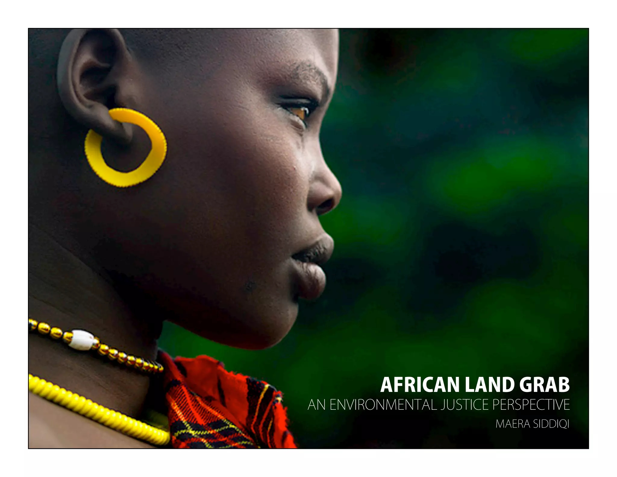 African Land Grab: An Environmental Justice Perspective | PPT