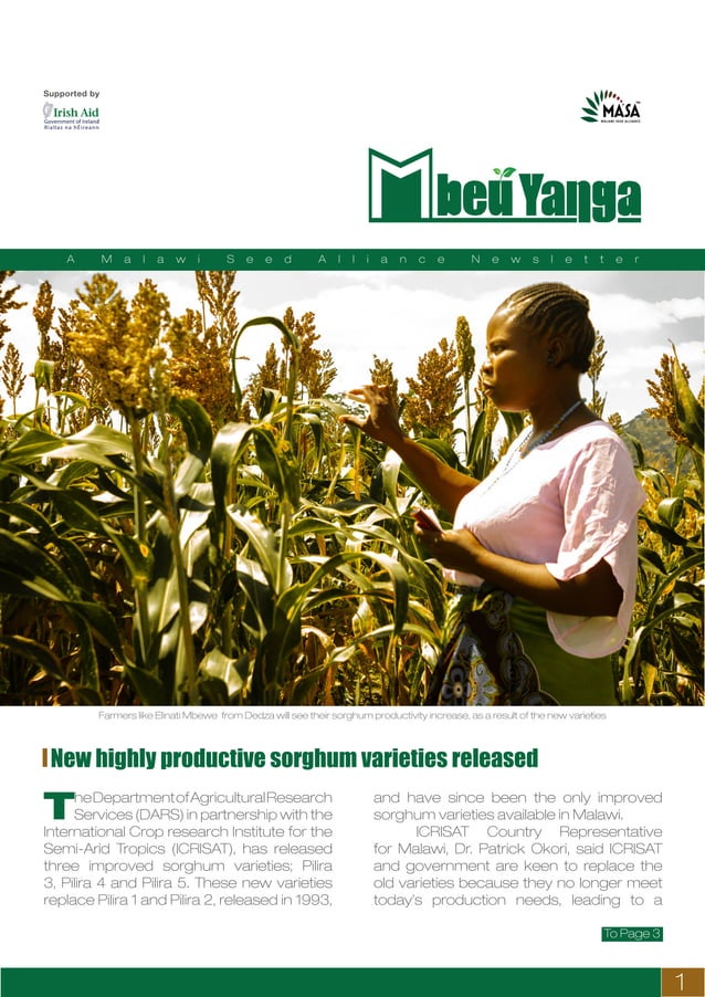 Malawi Seed Industry Development Project (MSIDP)- A Malawi Seed Alliance Newsletter | PDF ...