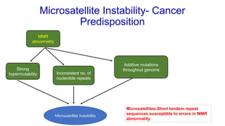 Microsatellite Instability: Detection Methods and Clinical Significance ...