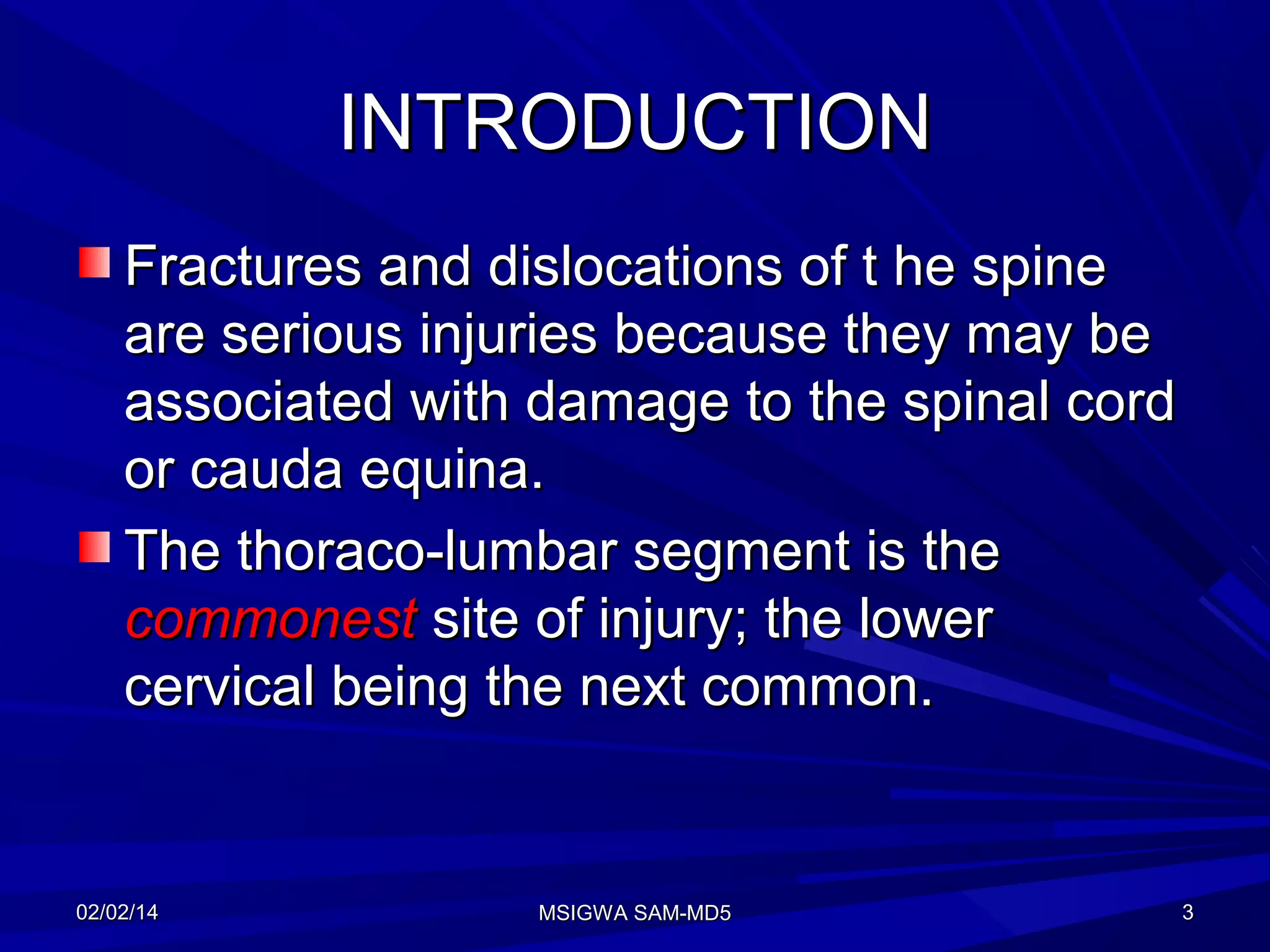 Msigwa spinal injuries | PPT