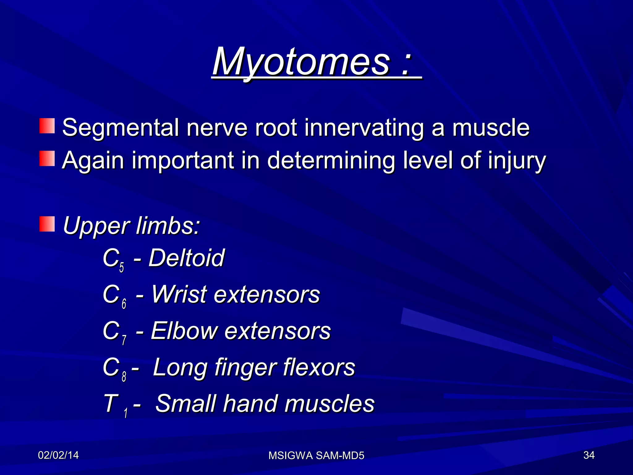 Msigwa spinal injuries | PPT