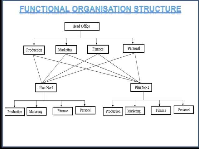ORGANISATION STRUCTURES PPT | PPTX