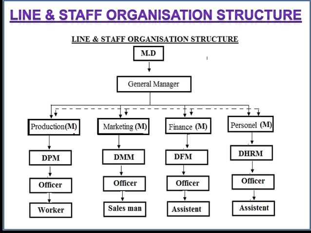 ORGANISATION STRUCTURES PPT | PPTX