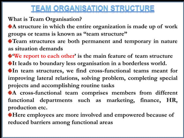 ORGANISATION STRUCTURES PPT | PPTX