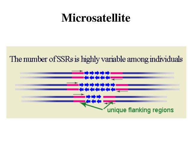 Microsatellite instability