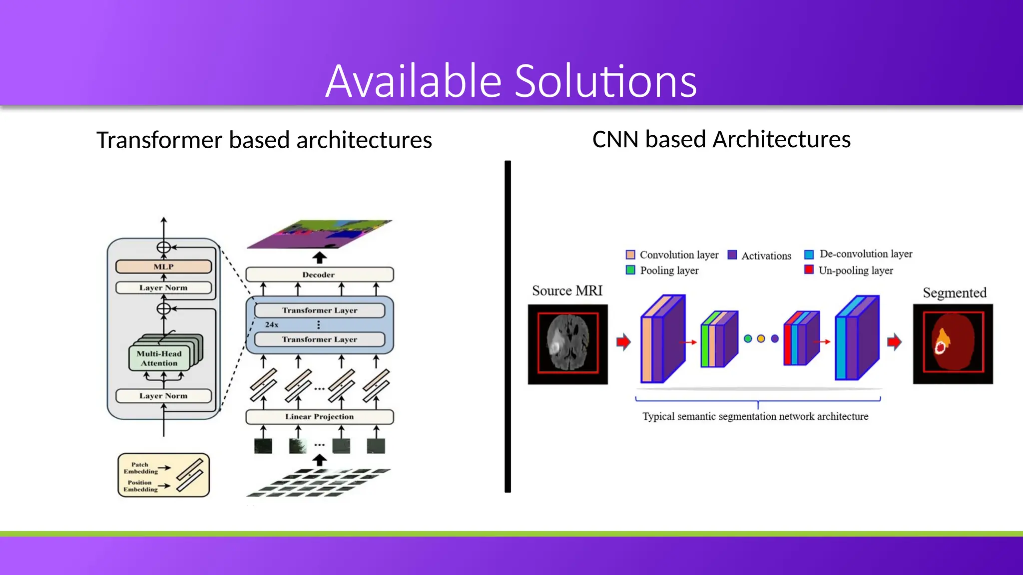 msila vsion segmentation batata and brain.pptx