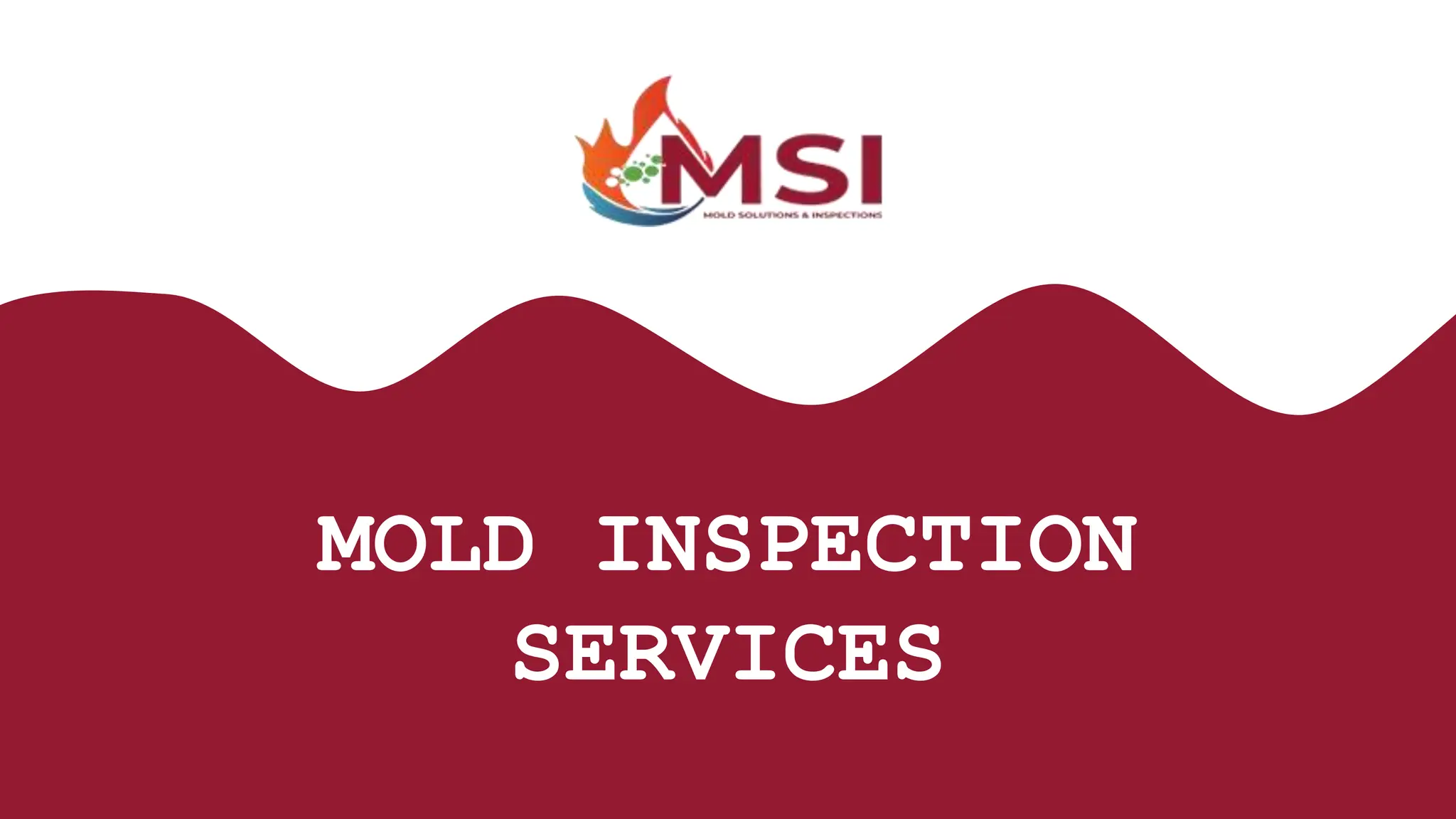 MSI offers Professional mold inspection Services.pptx