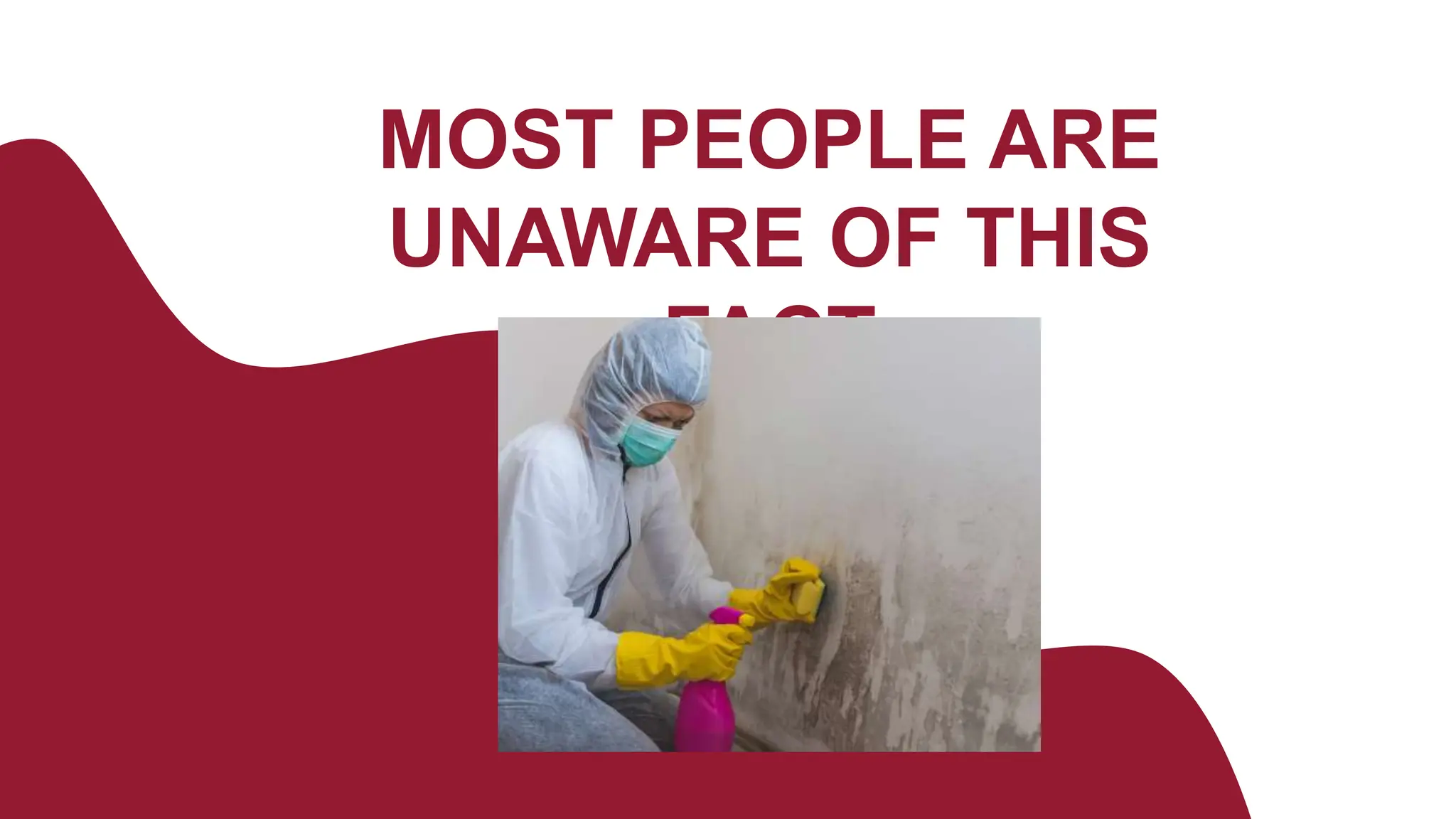 MSI offers Professional mold inspection Services.pptx