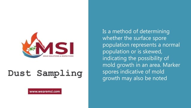 MSI offers Professional mold inspection Services.pptx