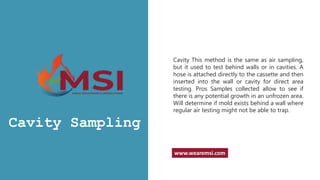 MSI offers Professional mold inspection Services.pptx