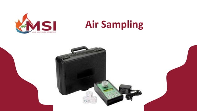 MSI offers Professional mold inspection Services.pptx