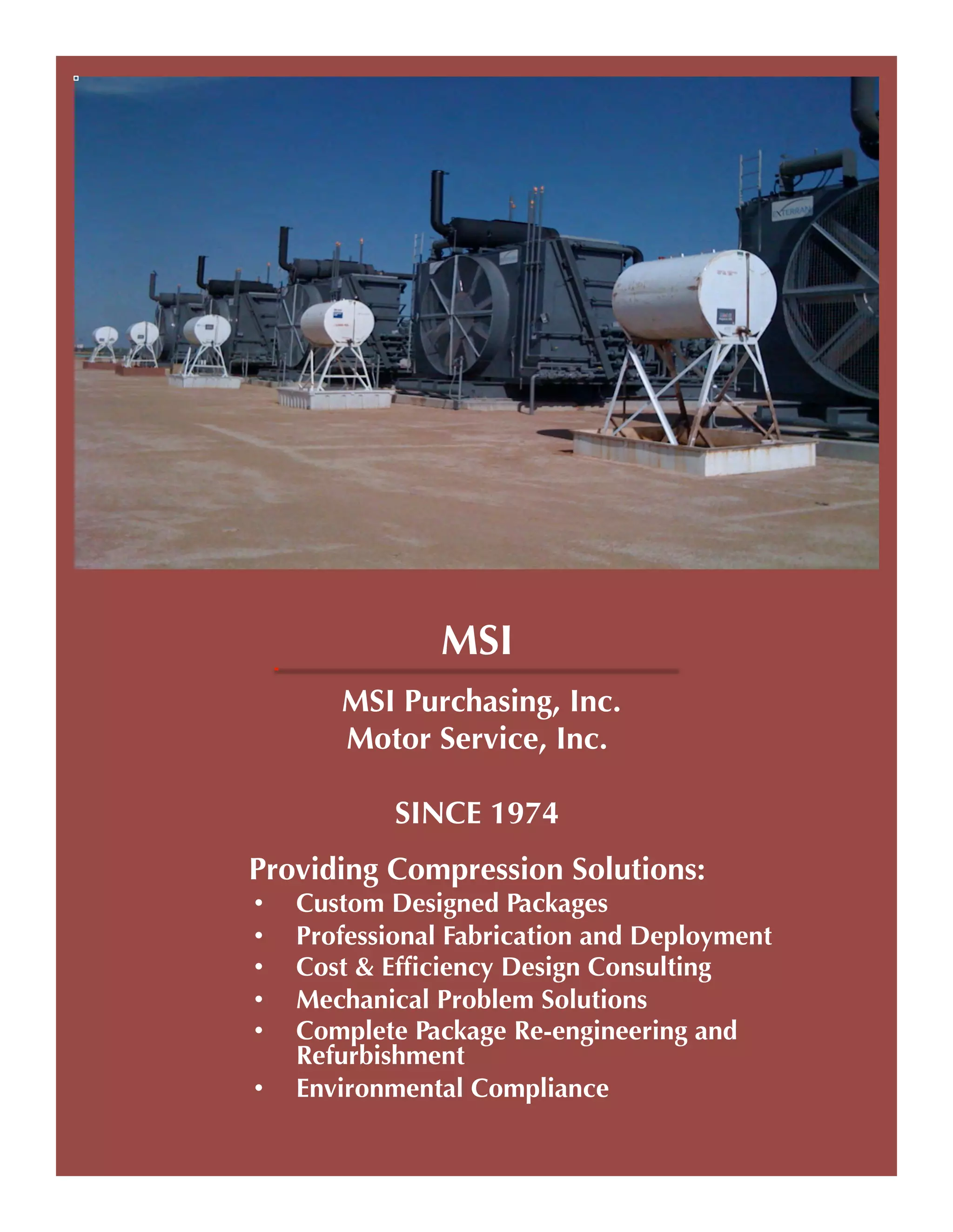 MSI Presentation | PDF