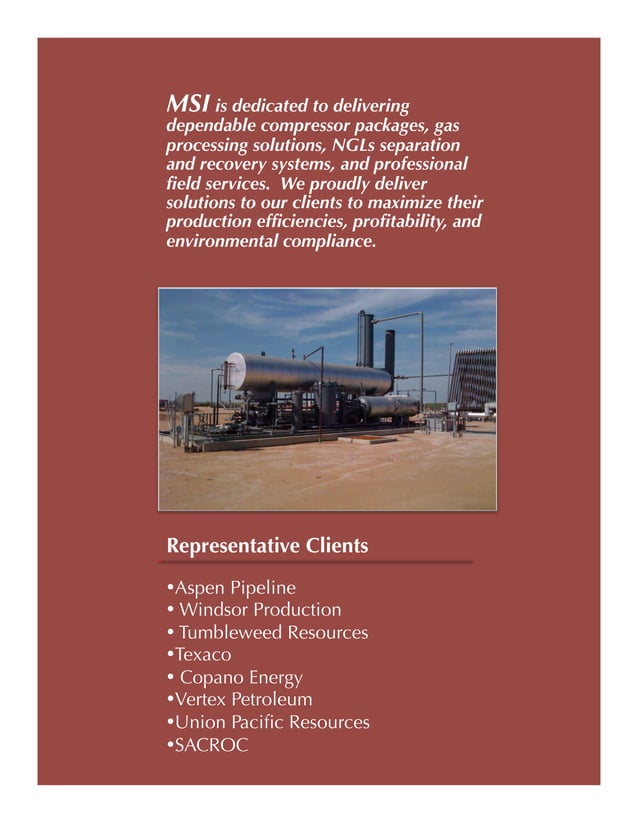 MSI Presentation | PDF