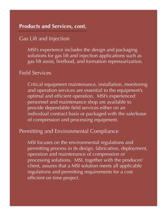 MSI Presentation | PDF