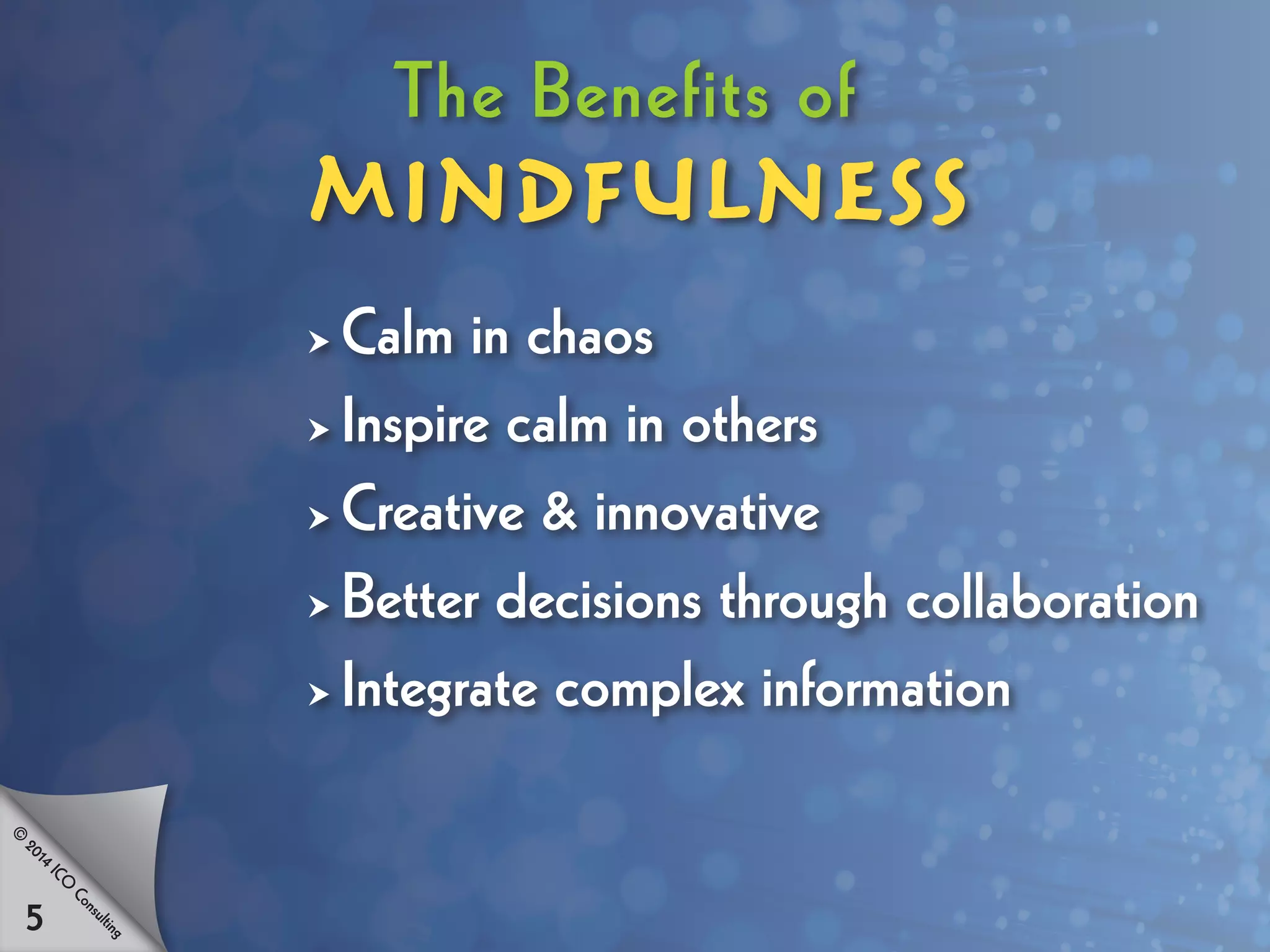 Mindful Systems Inquiry (c) | PPT