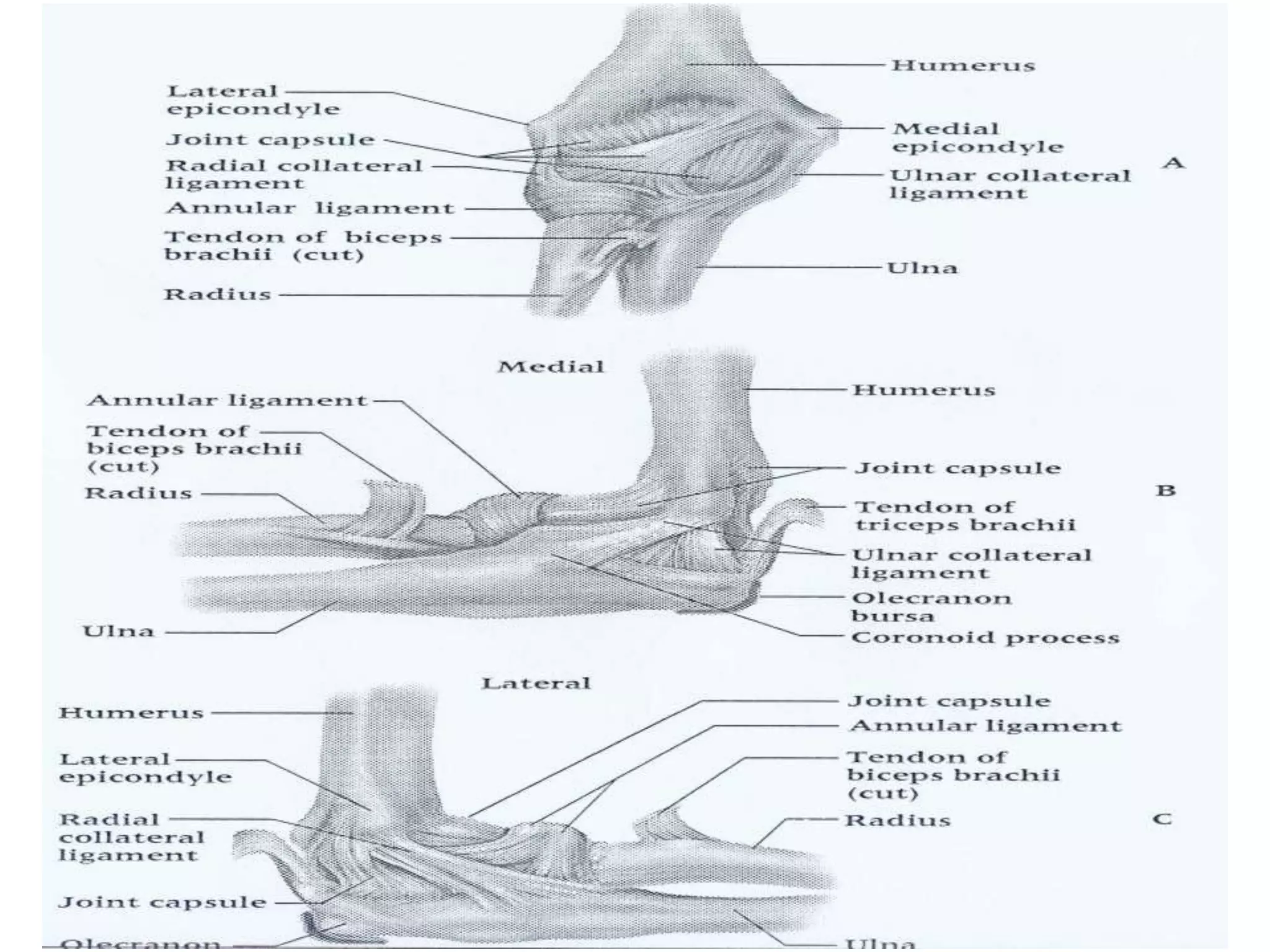MSK Elbow Injuries .pptx