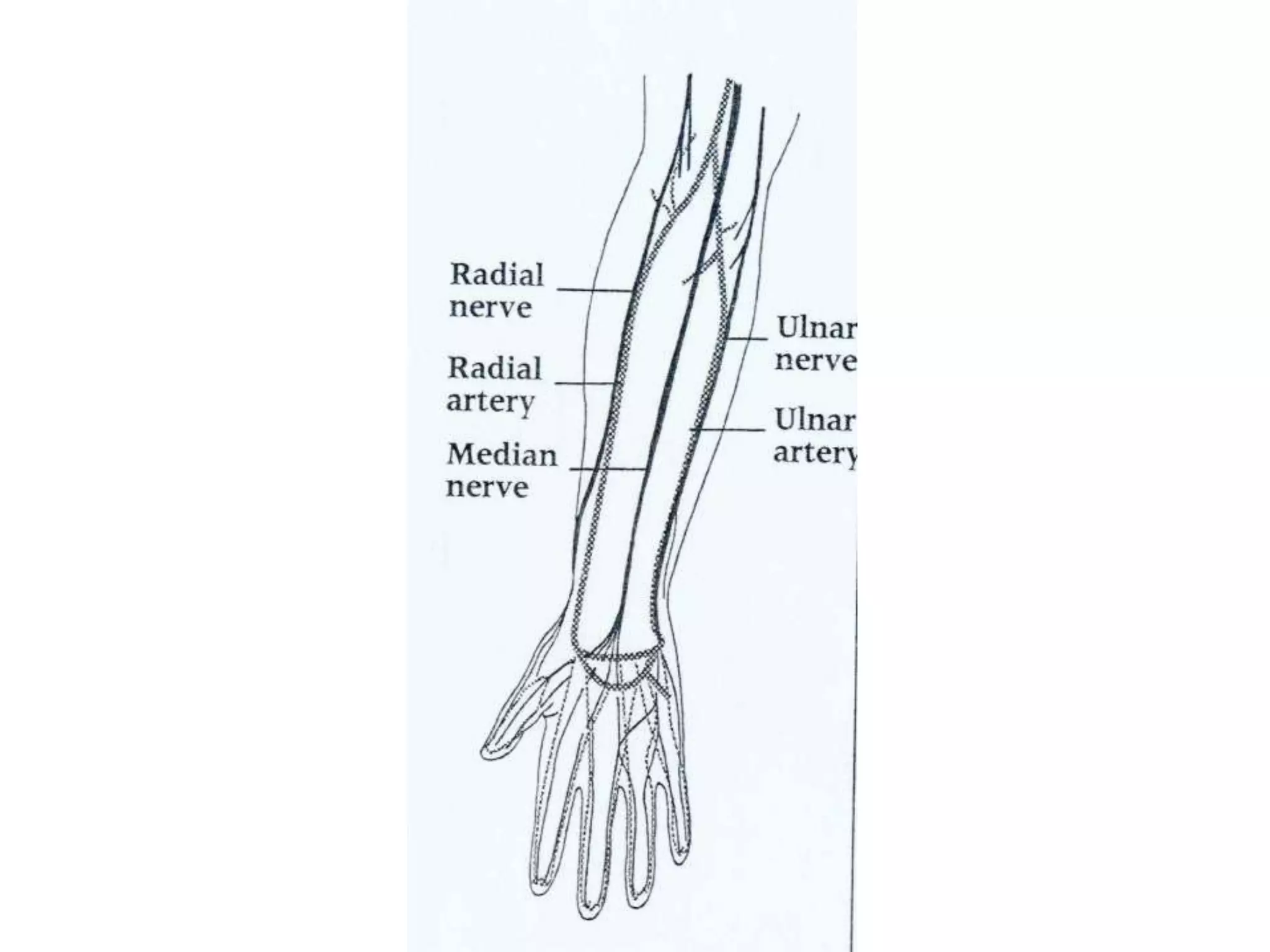 MSK Elbow Injuries .pptx