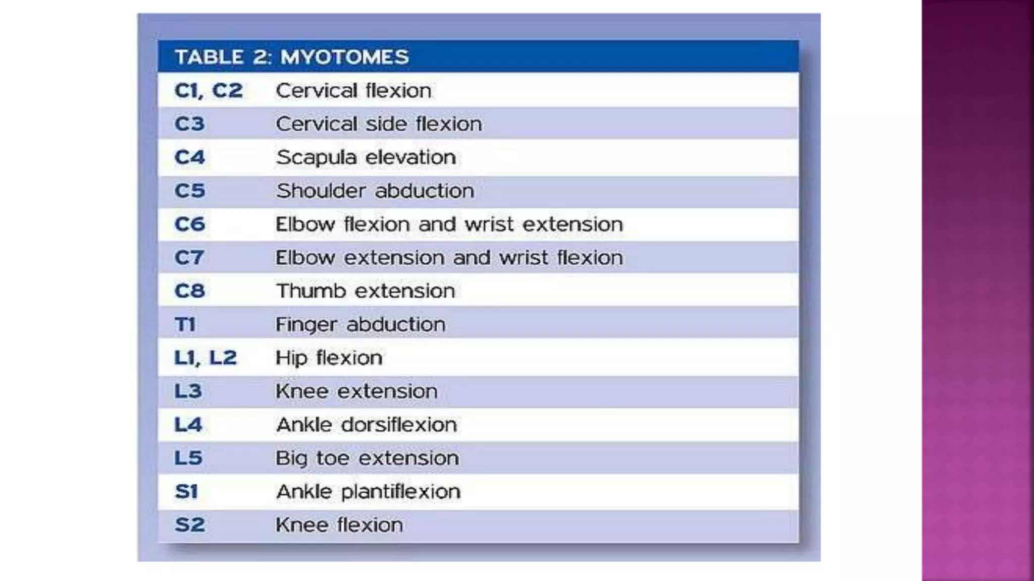 MSK Examination.pptx