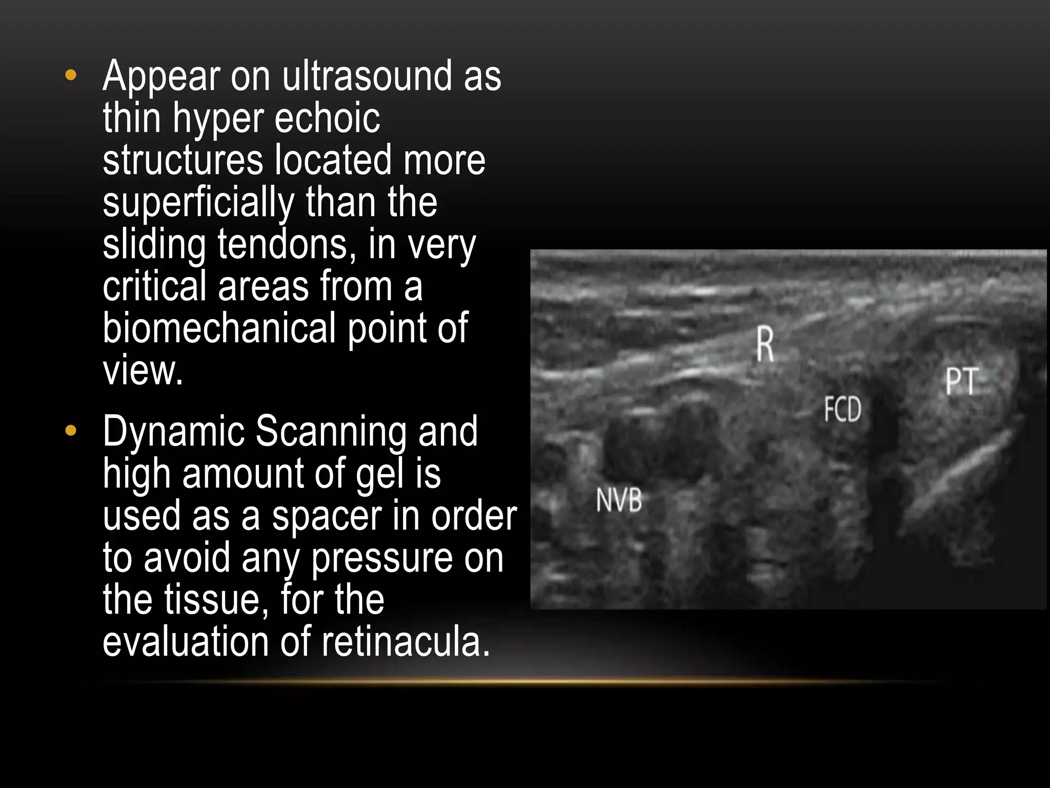 Musculoskeletal Ultrasound - Basic | PPTX