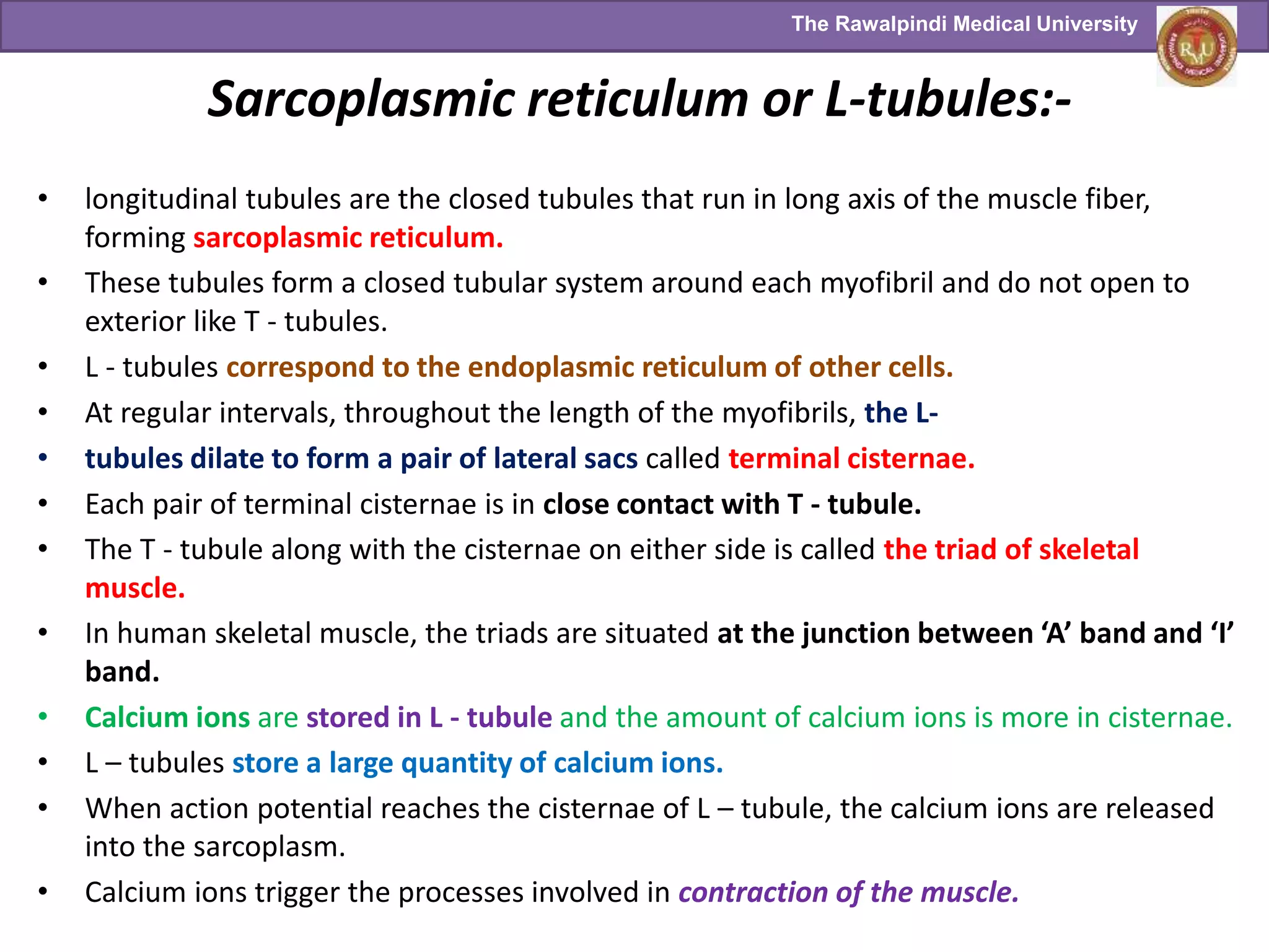 MSK SGD 1st year mbbs Final.pptx