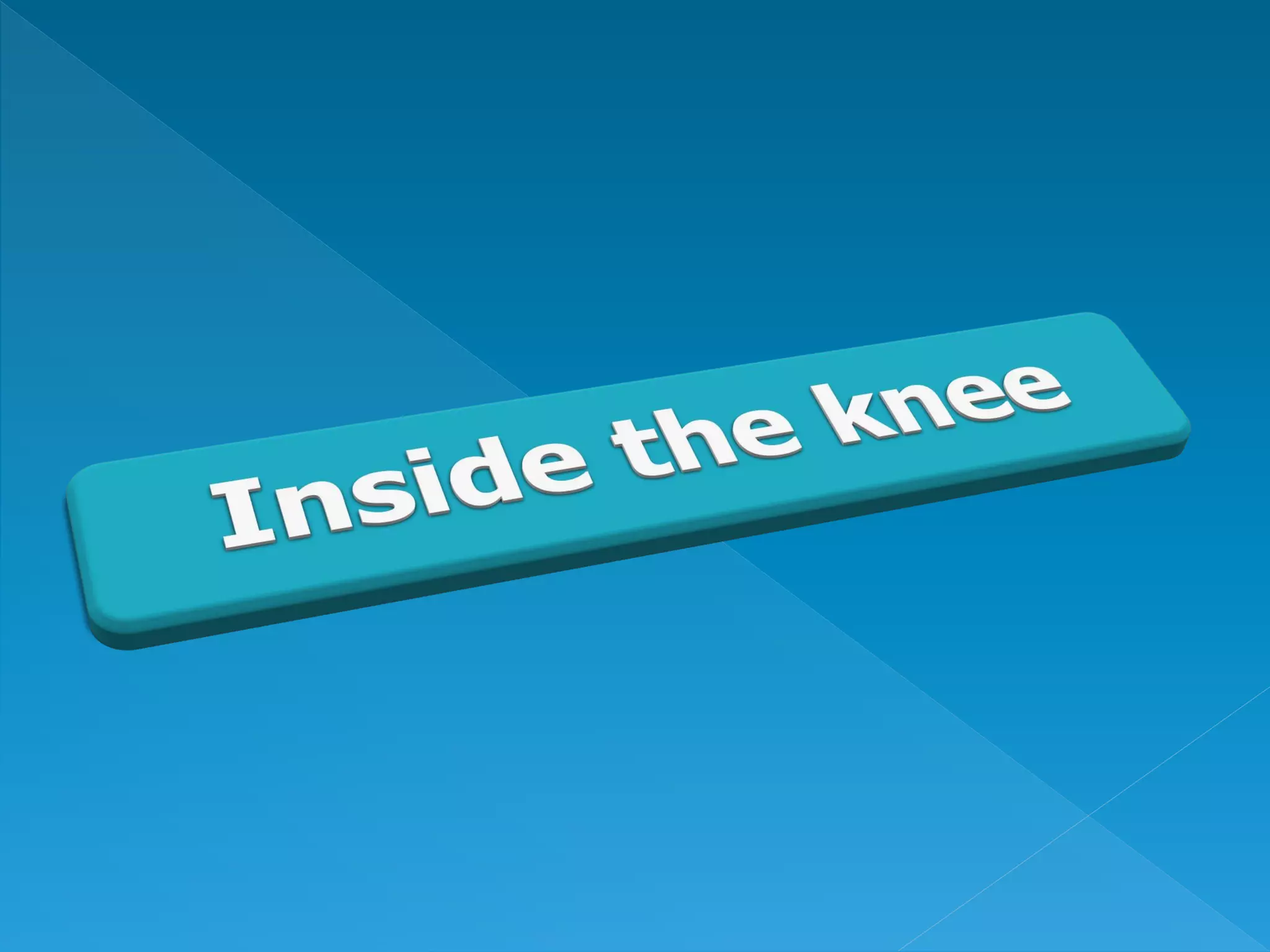 Msk US LL anatomy & technique pdf | PDF