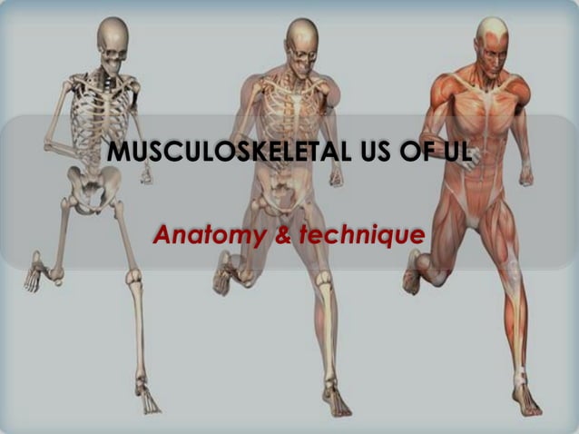 Msk US LL anatomy & technique pdf | PPT
