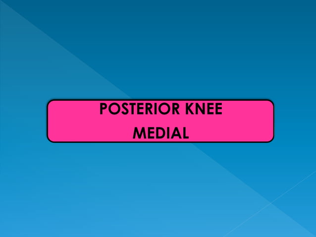 Msk US LL anatomy & technique pdf | PPT