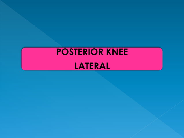 Msk US LL anatomy & technique pdf | PPT