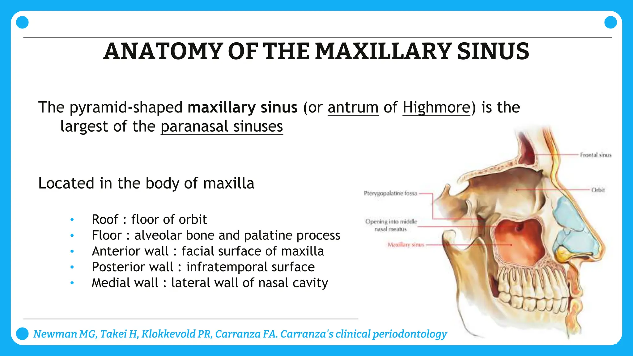 MSLP : Maxillary sinus lift procedures ppt | PPTX