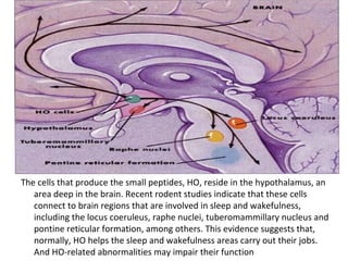 Multiple sleep latency Test (MSLT) and Maintenance of Wakefulness Test ...