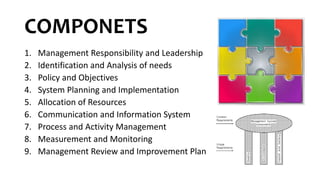 MSM - Management System Manual | PPT