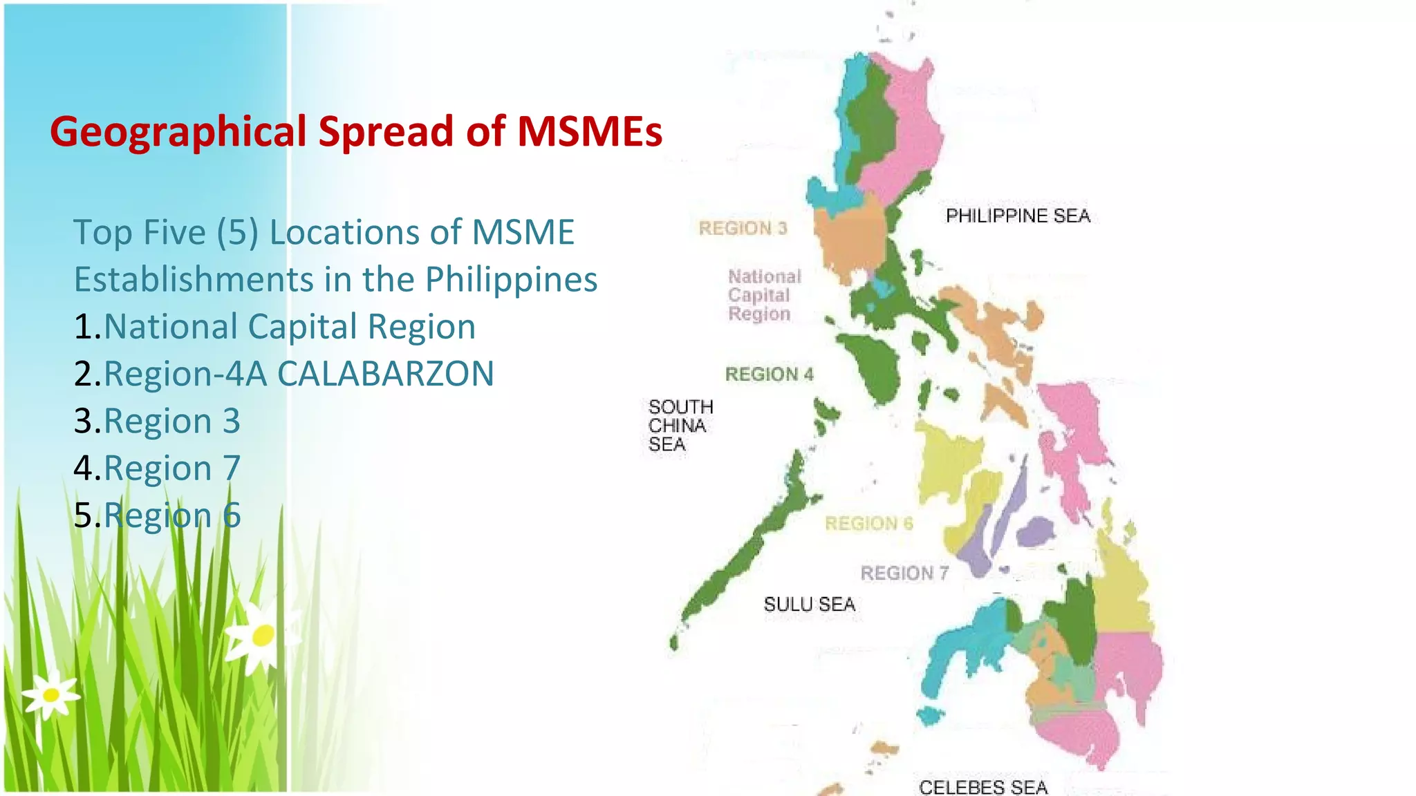 Philippines Micro Small Medium Enterprises (MSMEs) | PPT