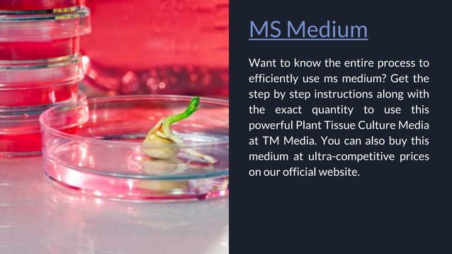 Ms medium | PPT