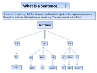 Ms nadia zia & Ayesha Khan | PPT