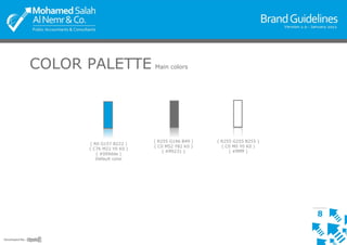 MSN brand guidelines v2.0 | PDF