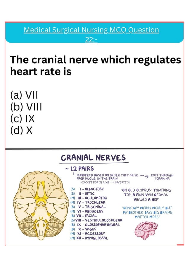 Nursing MCQ Question Set-8 from Exam Objective | PDF