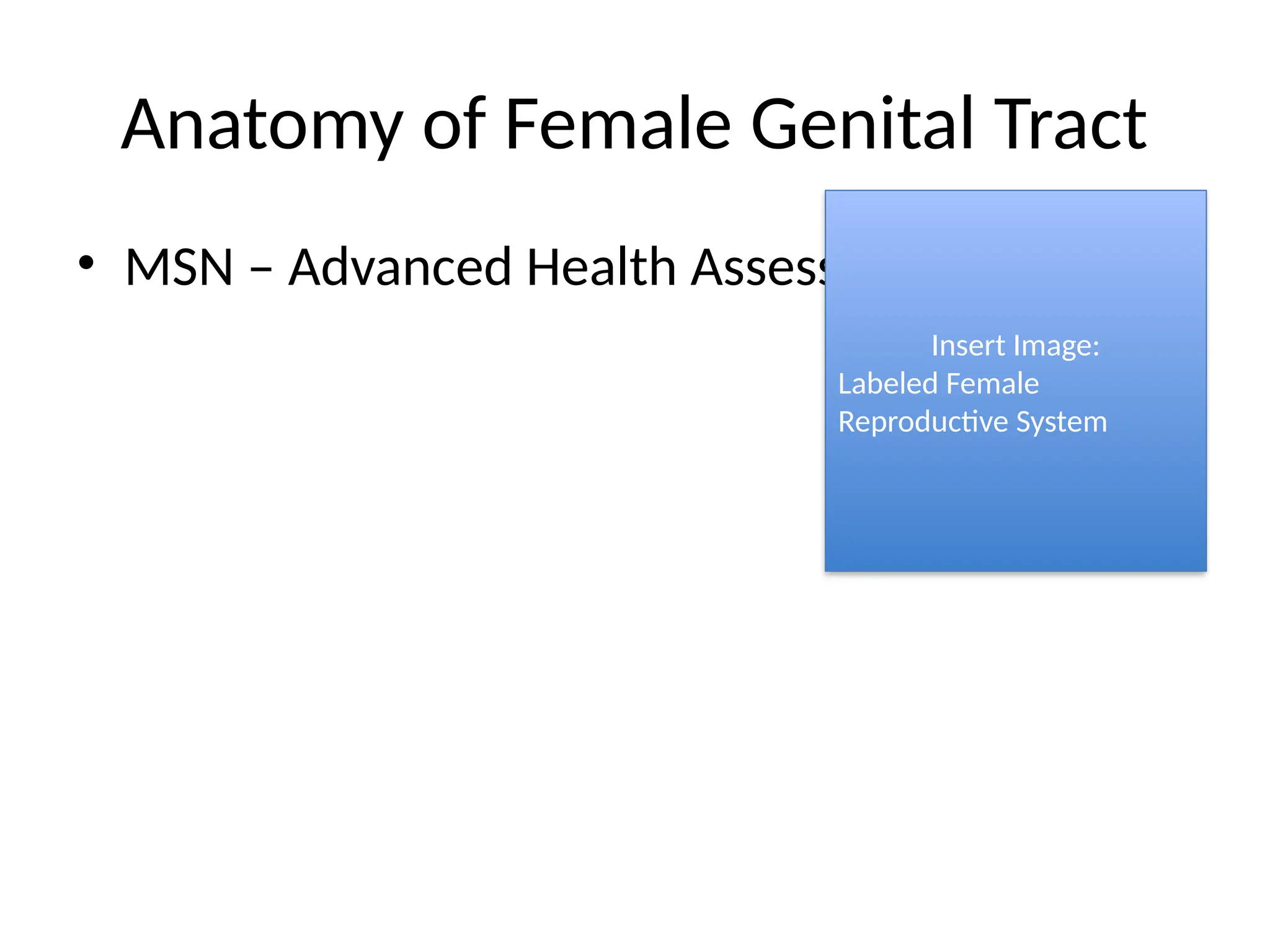 MSN_Female_Genital_Anatomy_Placeholder_PPT.pptx