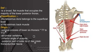 Ms of Back Group 10.pptx