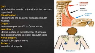Ms of Back Group 10.pptx