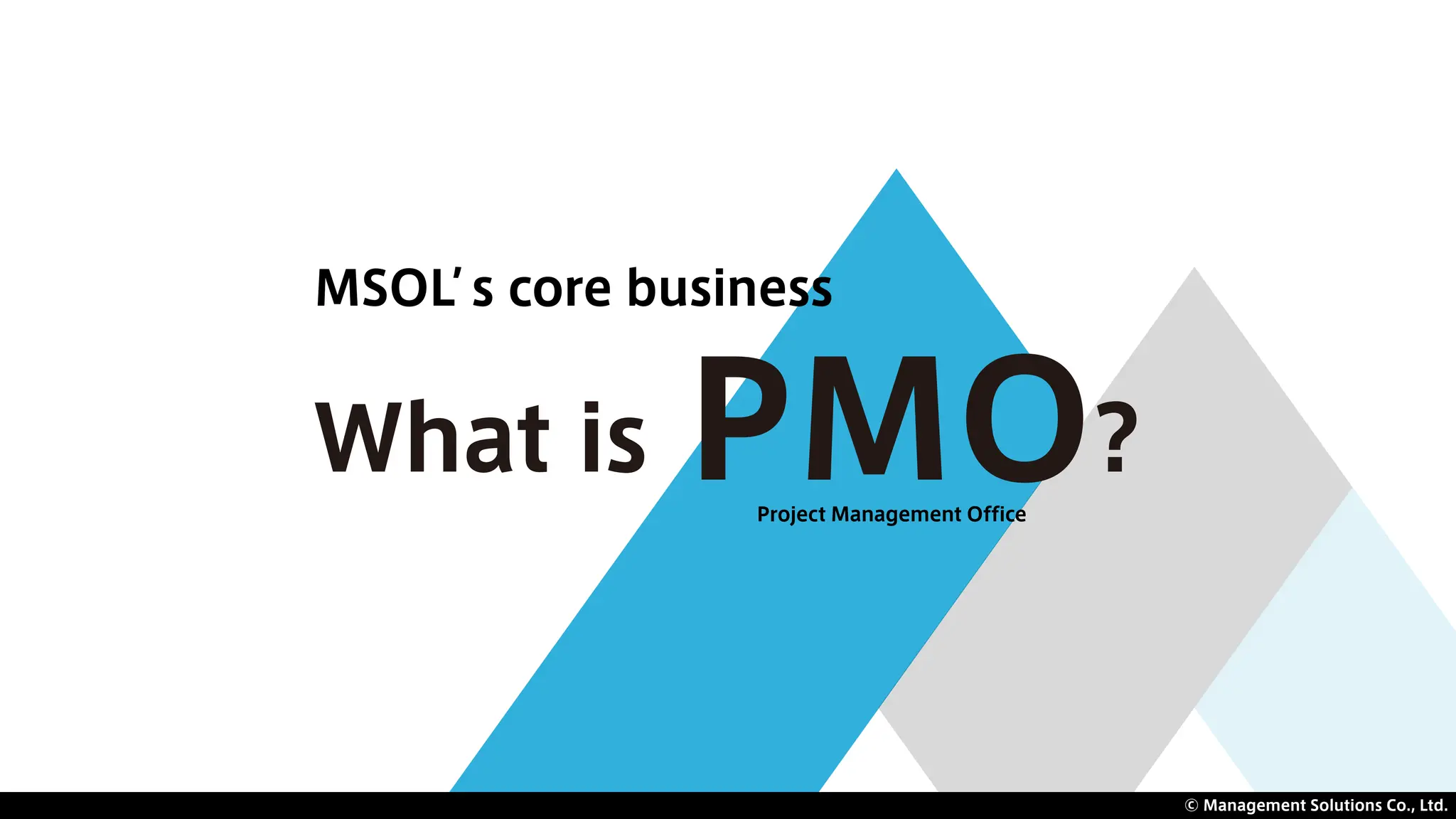 MSOL's corporate profile materials_______ | PDF