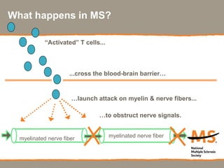 MSOverview_NursingStudents.ppt