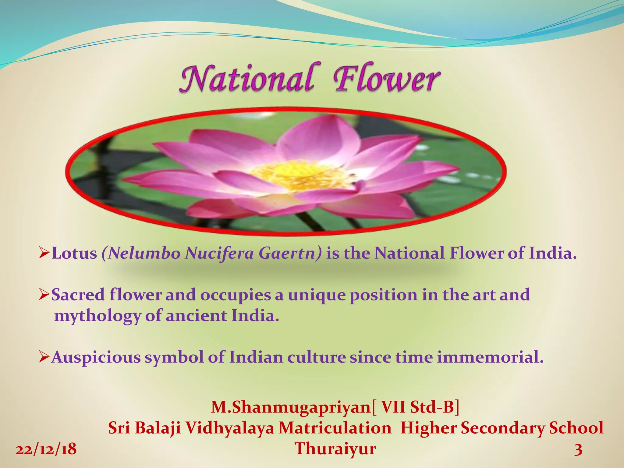 National Identity Elements of India | PPTX